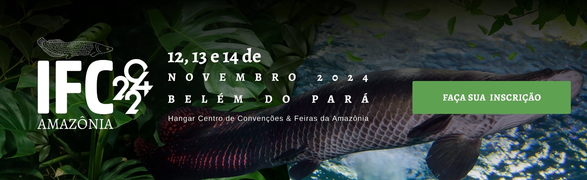 IFC Amazônia